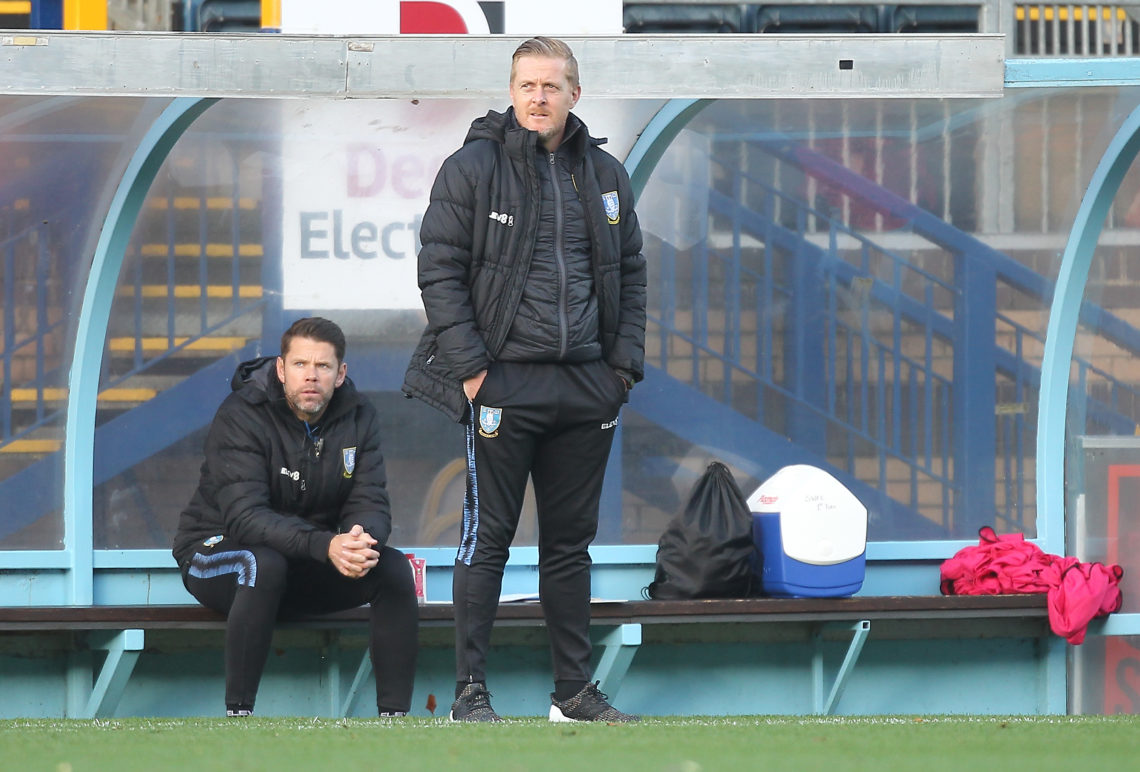 Former Sheffield Wednesday boss lands new job after four years out of ...